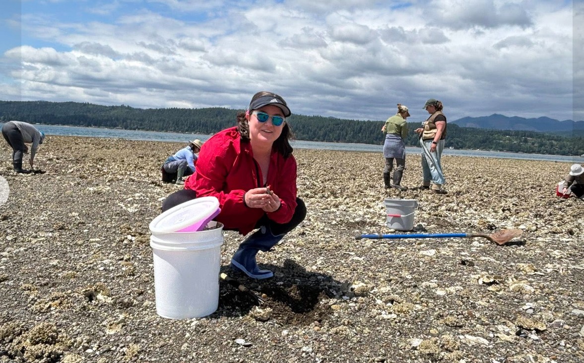 Shellfish Harvest – WOW